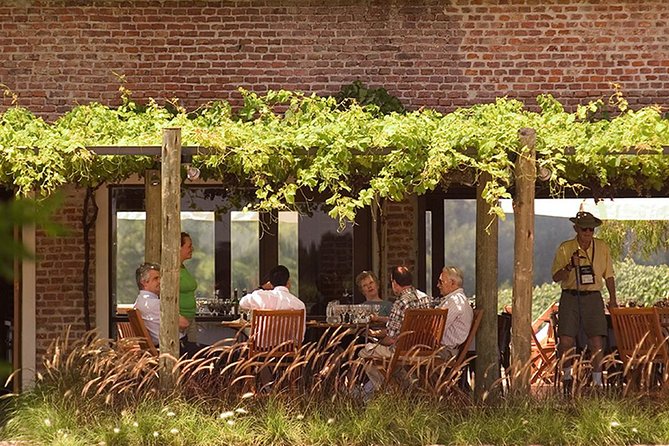 Bouza Winery Tastings and Tapas (Esp, Eng, Port) - Tips and Recommendations