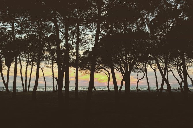 Bovilla Lake, Gamti Mountain, and Kruja Fortress. Acc in Tirana - Practical Details and Value