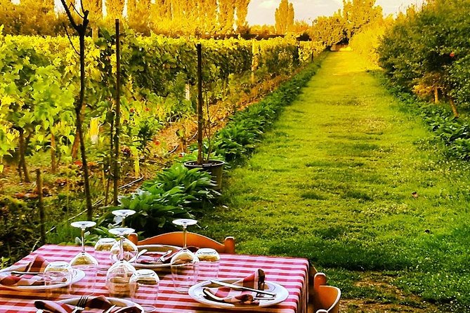 Bovilla Lake, Gamti Mountain, and Kruja Fortress. Acc in Tirana - The Sum Up