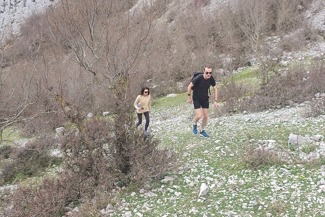 Bovilla Lake Hiking Experience - A Glimpse Into Albanias Flora and Fauna