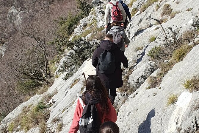 Bovilla Lake Hiking Experience - Convenient Transportation and Meeting Point