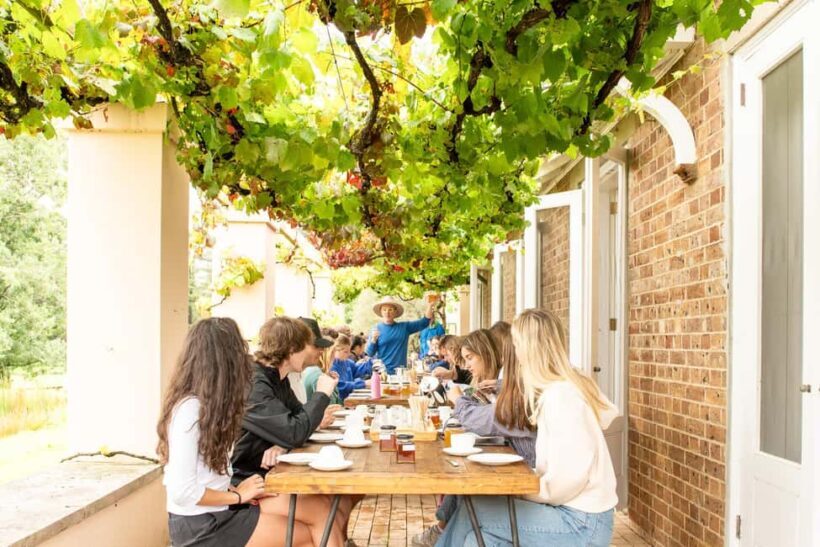 Bowral Honey Farm Tour, Honey Tasting & morning Tea - Overview of the Experience