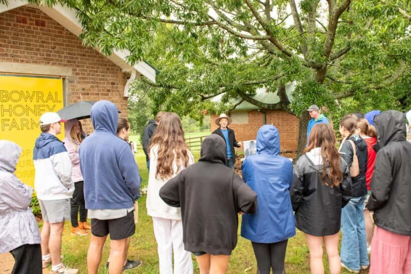Bowral Honey Farm Tour, Honey Tasting & morning Tea - Honey Tasting: A Sensory Journey