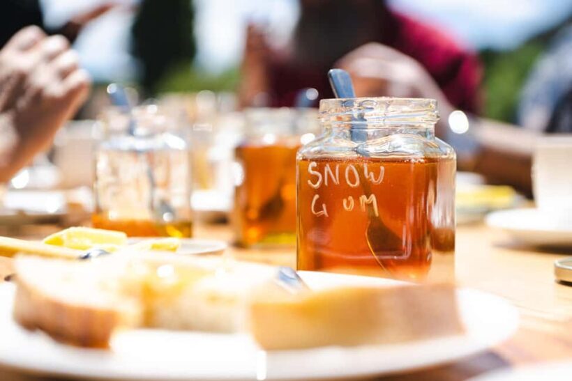 Bowral Honey Farm Tour, Honey Tasting & morning Tea - Practical Details