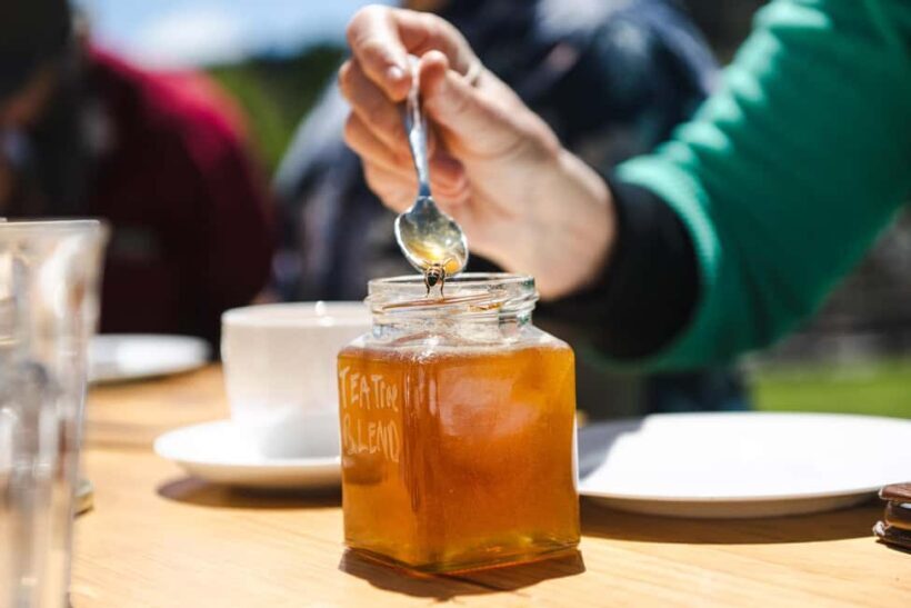 Bowral Honey Farm Tour, Honey Tasting & morning Tea - What We Loved