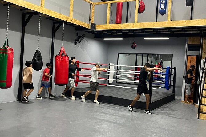 Boxing Puerto Vallarta Experience a day in the ring - Real Traveler Feedback