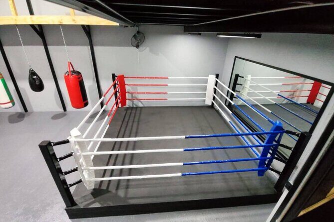 Boxing Puerto Vallarta Experience a day in the ring - Who Should Book This Tour?