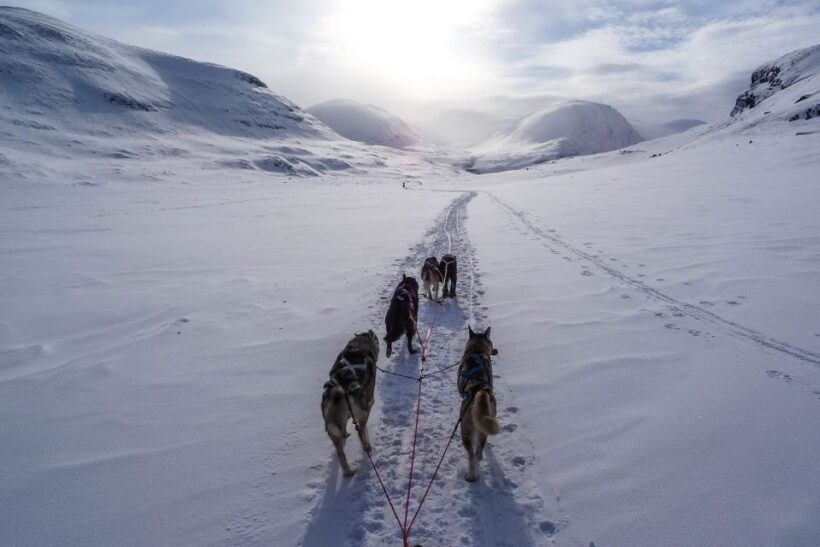 Bozeman: 6 Day Yellowstone Winter Wonderland Tour - Is This Tour Worth the Price?
