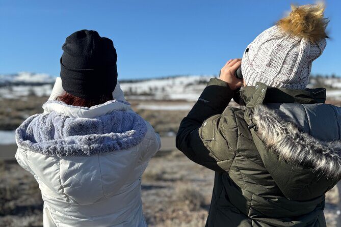 Bozeman Winter Wildlife Safari, Lamar Valley, Burrito and Lunch - What the Tour Offers and Why It Matters