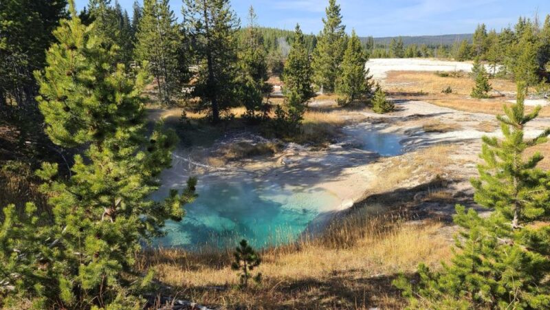 Bozeman: Yellowstone & Grand Teton National Park with Hotel - An Overview of the Tour Experience