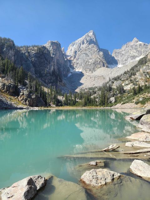 Bozeman: Yellowstone & Grand Teton National Park with Hotel - The Balance of Price and Value