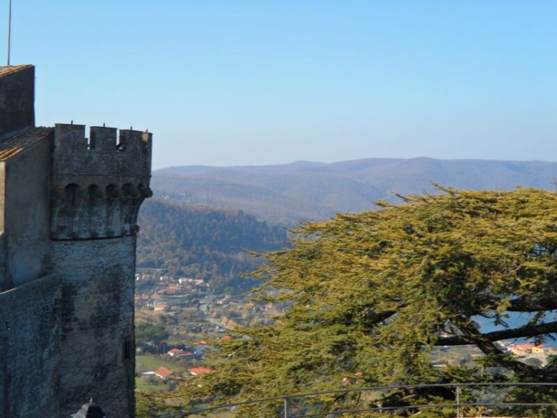 Bracciano: Odescalchi-Orsini ancient Castle Tour with Lunch - Key Points
