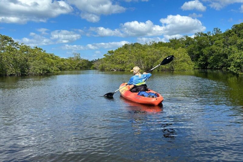 Bradenton: Anna Maria Island Guided Kayaking Manatee Tour - The Journey: What to Expect