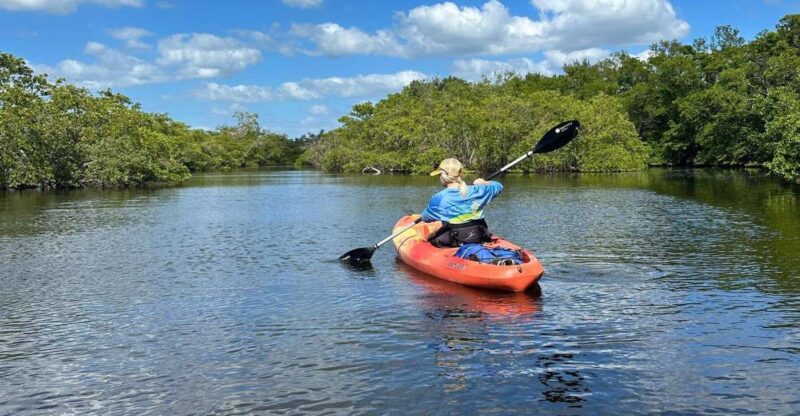 Bradenton: Anna Maria Island Guided Kayaking Manatee Tour - Final Thoughts