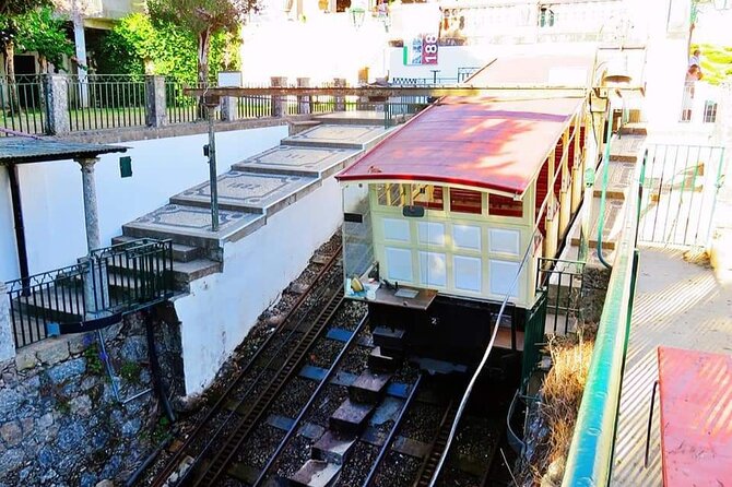 BRAGA AND GUIMARÃES: Private Historic Tour from Porto - Who Would Love This Tour?