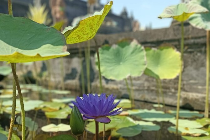 Brahmavihara Arama Banjar Hot Spring Ulundanu Bratan Private Tour - FAQ