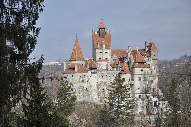 Bran Castle and Rasnov Fortress Tour From Brasov With Entrance Fees Included - Optional Peles Castle Visit - Bran Castle: Exploring the Gothic Architecture and Vlad the Impalers Legacy