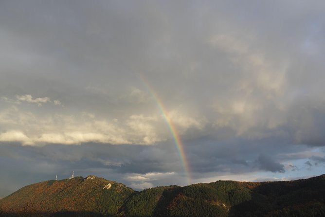 Bran Castle and Rasnov Fortress Tour From Brasov With Entrance Fees Included - Optional Peles Castle Visit - Peles Castle: An Optional Neo-Renaissance Gem