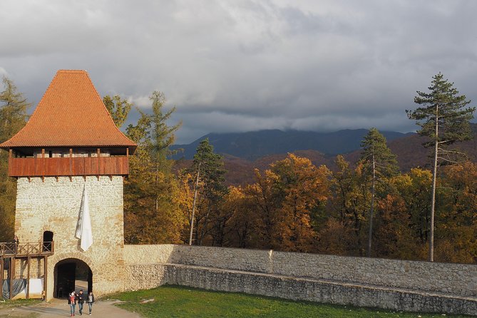 Bran Castle and Rasnov Fortress Tour From Brasov With Entrance Fees Included - Optional Peles Castle Visit - Transportation and Logistics