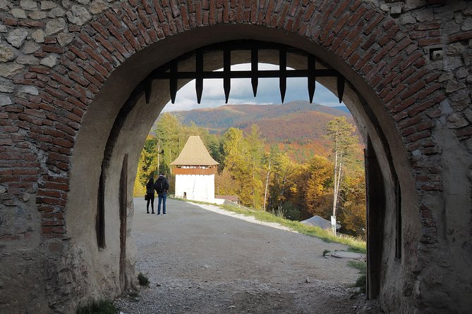 Bran Castle and Rasnov Fortress Tour From Brasov With Entrance Fees Included - Optional Peles Castle Visit - Dining Options