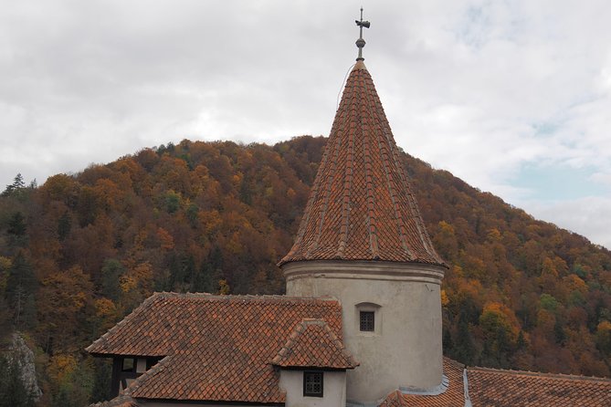 Bran Castle and Rasnov Fortress Tour From Brasov With Entrance Fees Included - Optional Peles Castle Visit - Feedback and Insights From Previous Travelers