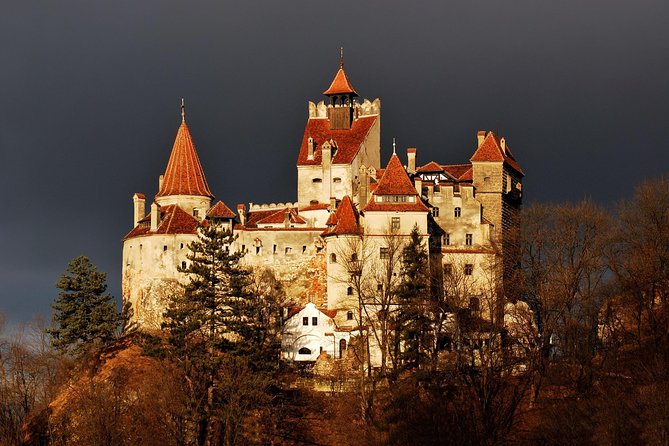 Bran Castle Entry Tickets - Visitor Experience and Recommendations