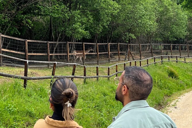 Bran (Dracula) Castle, Bear Sanctuary, Rasnov Fortress & Palinca Distillery - Stellar Reviews and Recommendations