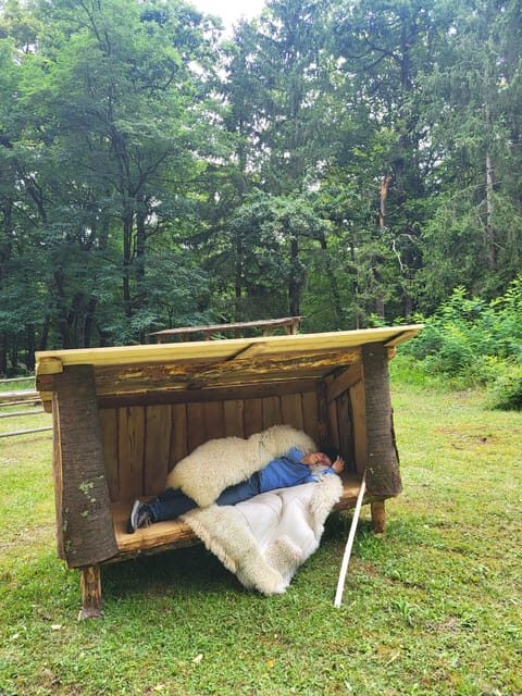 Bran - One Castle, Two Stories: Dracula and Queen Mary! - Key Points