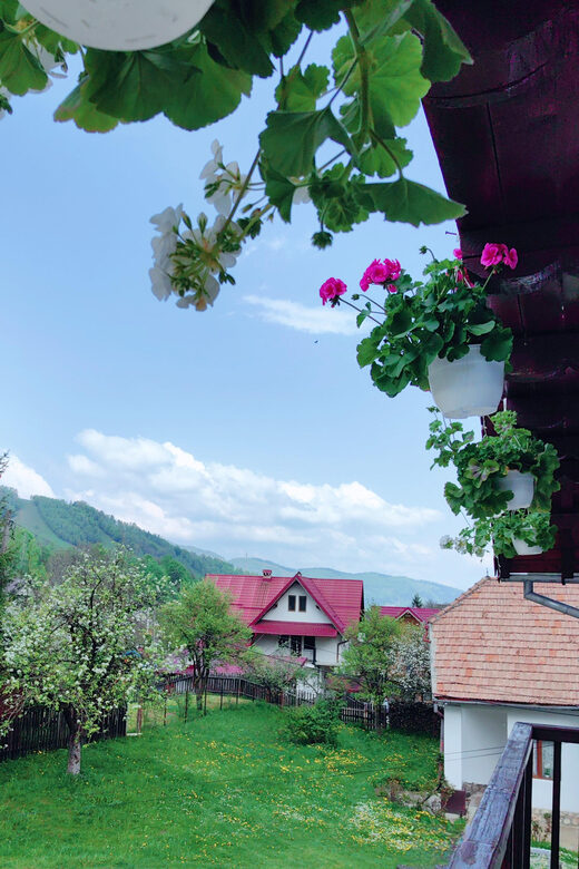 Bran: Rural Tour with Local Food & Accommodation in imon - Day Two: Scenic Walks and Traditional Flavors