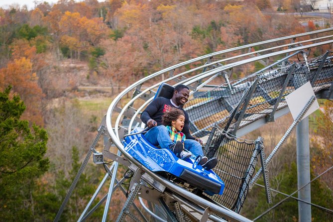 Branson Alpine Mountain Coaster Ticket - Who Would Love This Experience?