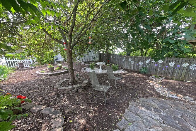 Branson Cart Adventures - Key Points