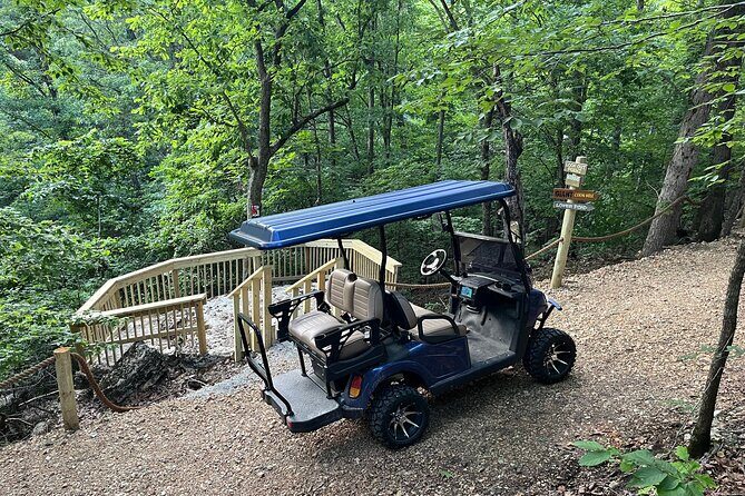 Branson Cart Adventures - An In-Depth Look at Branson Cart Adventures