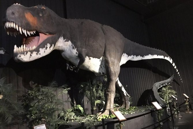 Branson Dinosaur Museum Admission Ticket - FAQs About the Branson Dinosaur Museum