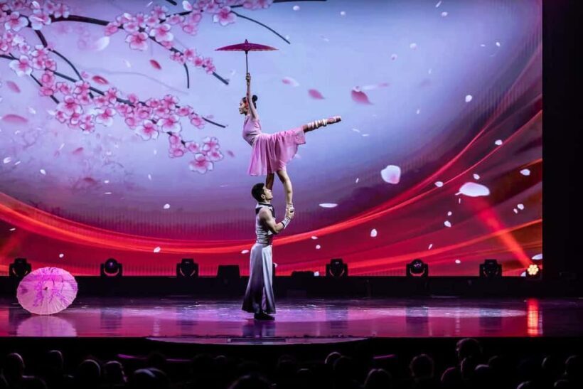 Branson: Grand Shanghai Circus Show Entry Ticket - The Itinerary and Show Highlights