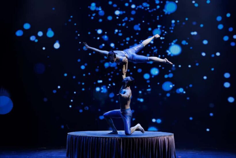 Branson: Grand Shanghai Circus Show Entry Ticket - The Venue and Seating
