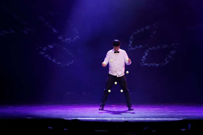 Branson: Grand Shanghai Circus Show Entry Ticket - Pricing and Value