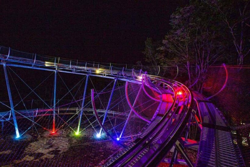 Branson, MO: Copperhead Mountain Coaster Entry Ticket - Who Should Try It?