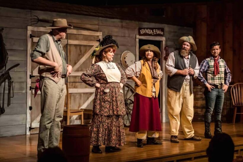 Branson: Whodunnit Hoedown Murder Mystery Dinner Show - Authentic Reviews and Insights