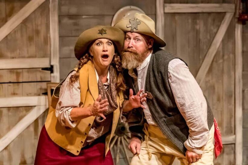 Branson: Whodunnit Hoedown Murder Mystery Dinner Show - Who Will Love This Experience