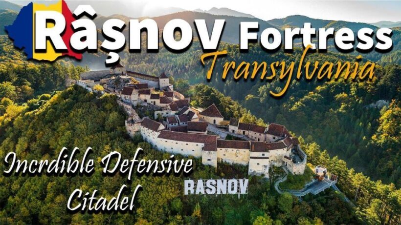 Brasov: Bear Sanctuary, Dracula Castle, and Rânov Fortress - Navigating the Logistics and Value