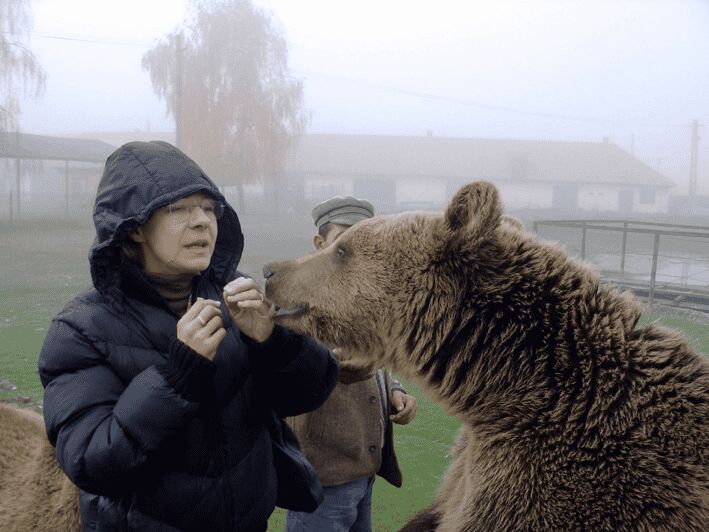 Brasov: Libearty Bear Sanctuary - Exploring the Liberty and Purpose of the Libearty Bear Sanctuary
