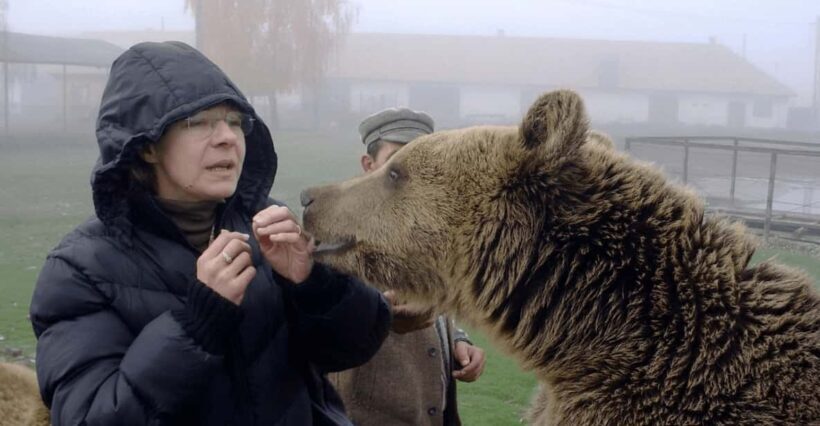 Brasov: Libearty Bear Sanctuary - The Experience in Detail: What You’ll See and Learn