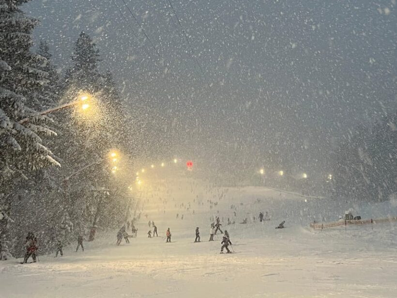 Brasov: Ski Lessons Day Trip For All Ages And Levels - Who Should Consider This Tour?