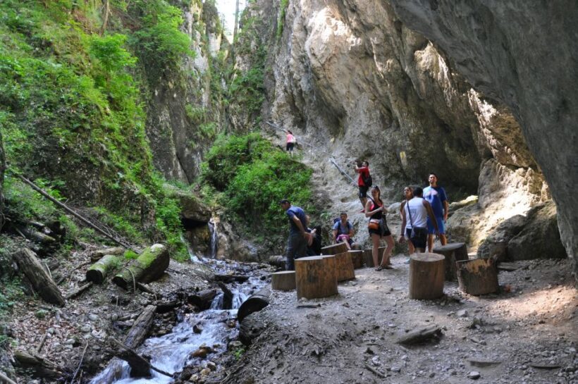 Brasov: Small-Group 7 Ladders Canyon Day Trip - Who Will Love This Tour?