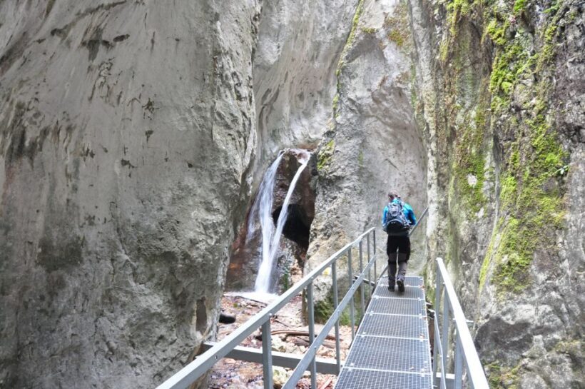 Brasov: Small-Group 7 Ladders Canyon Day Trip - In Closing
