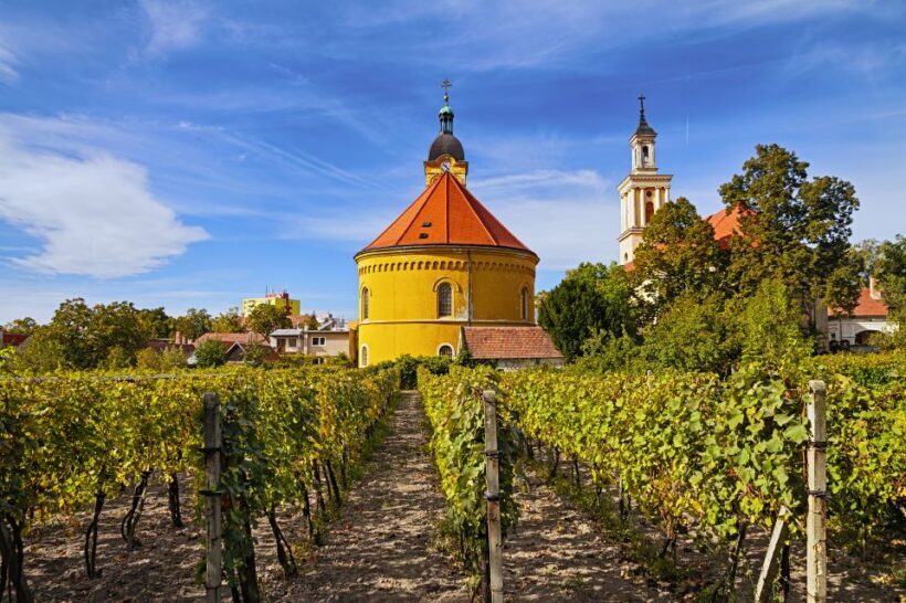 Bratislava: 6,5-Hour Carpathian Wine Tour and Tasting - The Sum Up