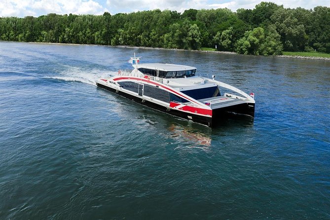 Bratislava Day Trip From Vienna With Catamaran Cruise on Danube - Traveler Feedback and Considerations