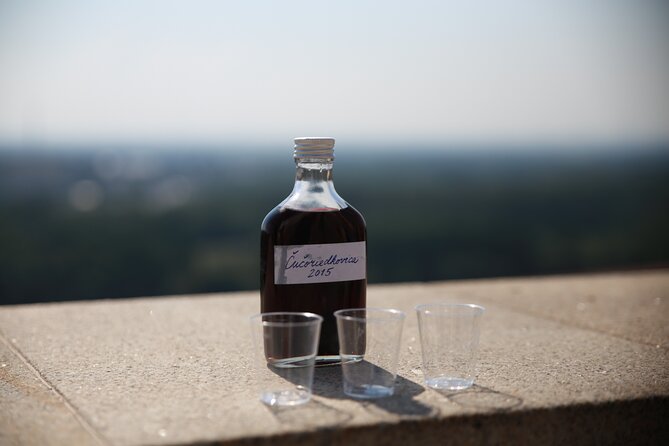 Bratislava Foodie Tour - Accessibility and Family-Friendly Features