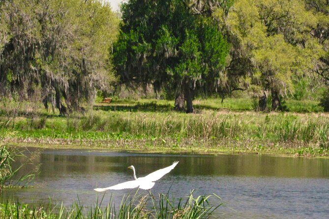 Brazos Bend Wildlife and Nature Tour - FAQ