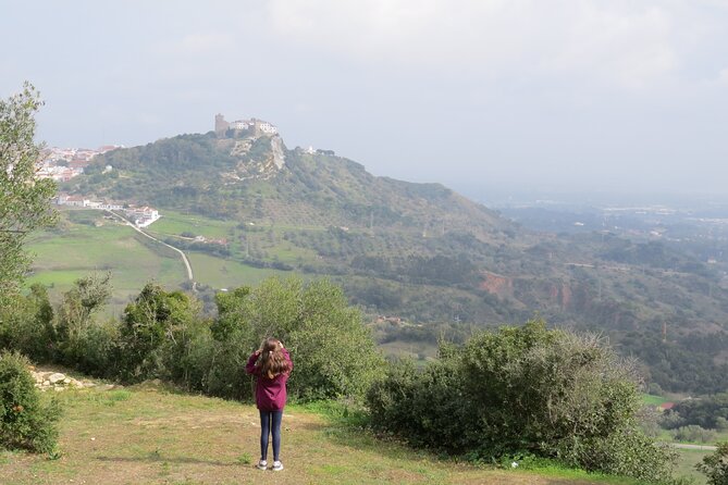 Bread, Wine&Cheese, The Natural Taste - The Itinerary: A Deep Dive